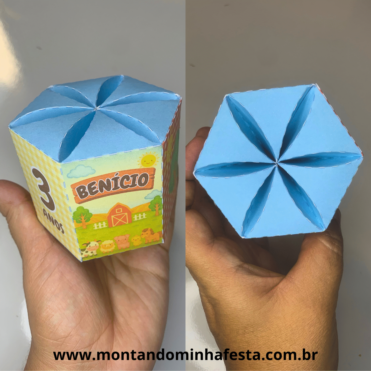 Molde Caixa Sextavada Grande em PNG para Centro de Mesa